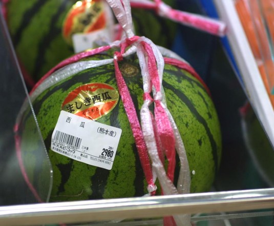 Blog | Janine Donoho | From the corners of her eyes…